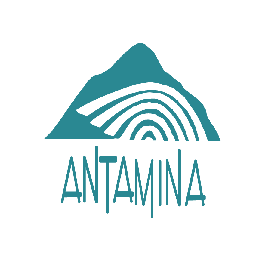 TITULAR DEL PROYECTO